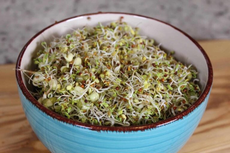Make Delicious Sprouts From Home - The Whole Food Plant Based Cooking Show